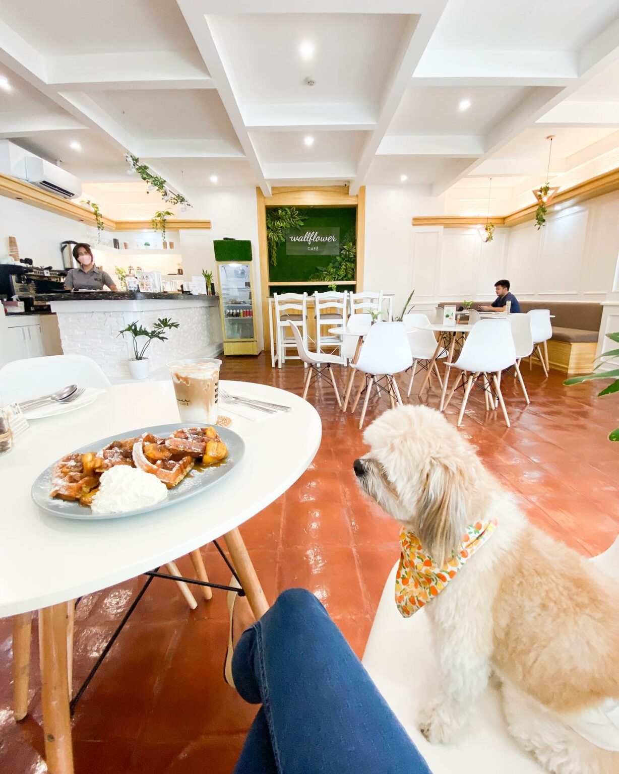 Pet-friendly Establishments in Metro Manila - PawMeetUp