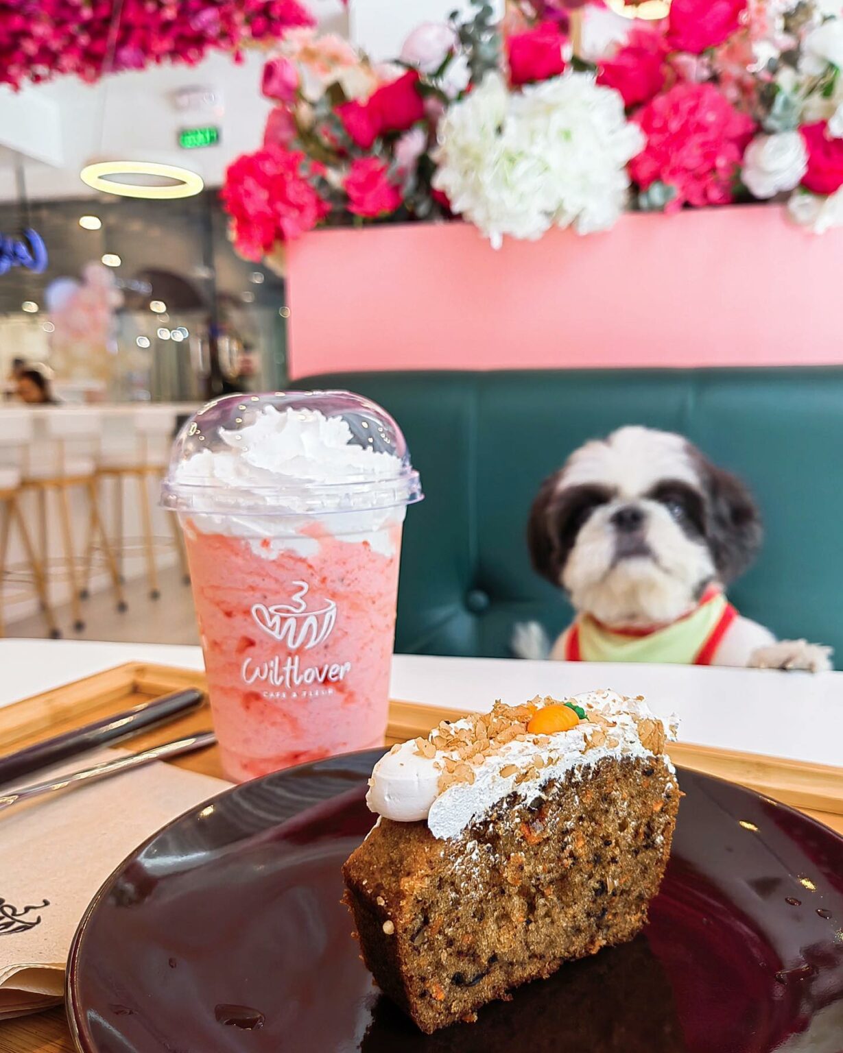 Pet-friendly Establishments in Metro Manila - PawMeetUp